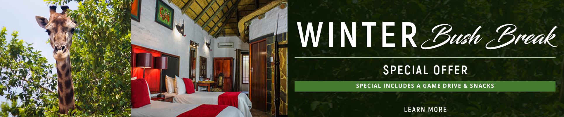 Kedar Heritage Lodge, Conference Centre & Spa